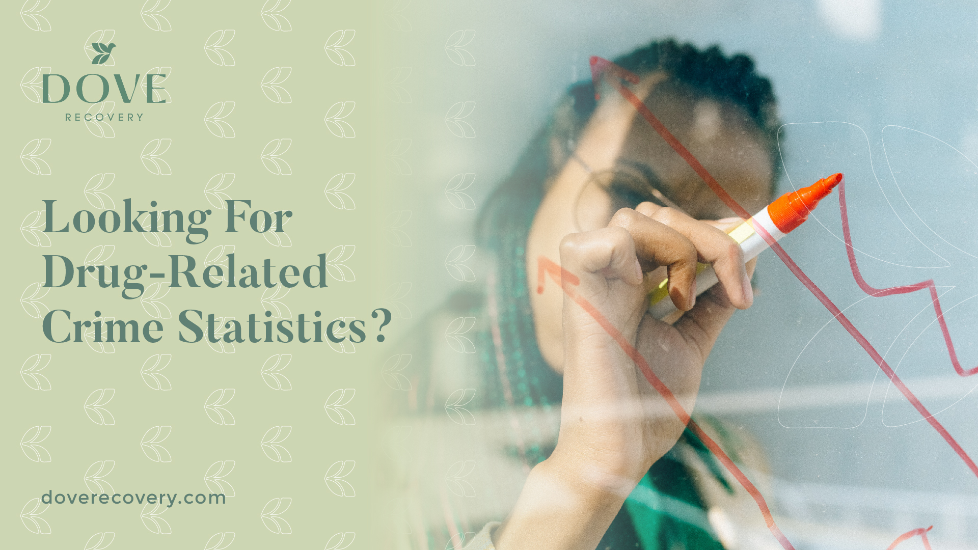 Drug-Related Crime Statistics: Definition & Prevalence